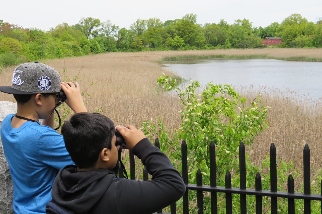 NYC H2O: Protecting the Ecosystems Next Door - Solstice