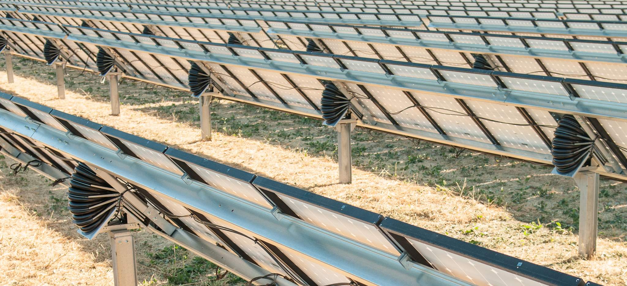 Solar Trackers: What Are They and Should I Get One? - Solstice